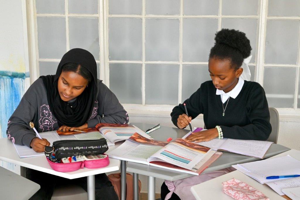 Home Schooling – brainSTREAM